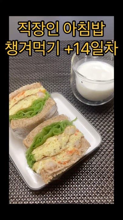 아침 6시에 해먹는 다이어트 샌드위치 토스트 직장인도시락 운동하는여자 출근브이로그 직장인일상 회사원 요리 Youtube
