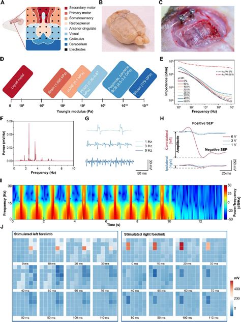 High Density μlmes Based Bioelectronics For The Neural Download