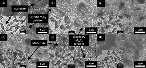 Typical Sem Micrographs Of The Hcci Samples With Tib2 Addition After