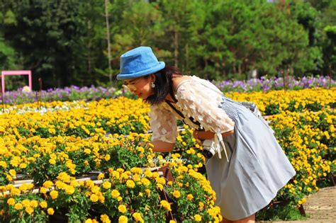 ฟลอร่า พาร์ค วังน้ำเขียว ที่เที่ยวหน้าหนาว เที่ยวเขาใหญ่ ชมสวนดอกไม้สวย