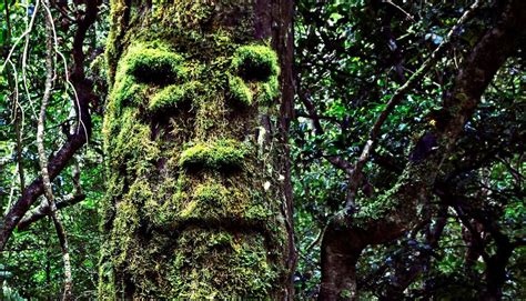 Face Pareidolia The Illusion Of Seeing A Facial Structure In An