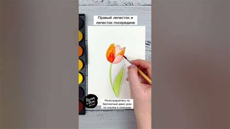 Два крутых способа нарисовать тюльпан 🌷💖 Shorts Youtube