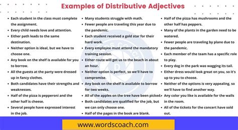 100 Examples Of Distributive Adjectives Word Coach