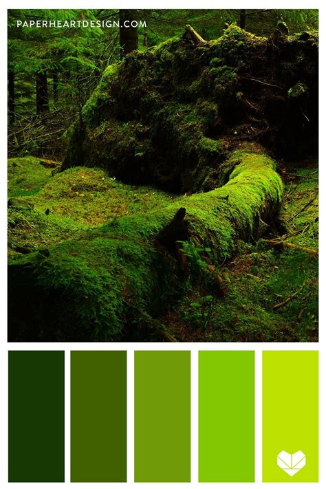 Gorgeous Green Moss Color Palette