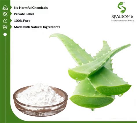 Aloe Vera Extract Powder At ₹ 550kg Noida Id 2854162868830