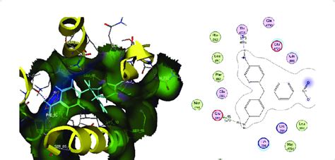 3 D Interaction Of Best Docking Pose Of Ligand 1 And 2d Interaction Of