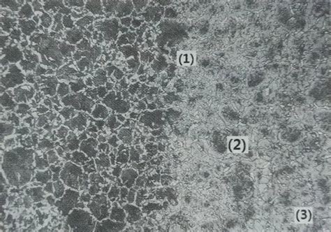 Exploring 45 Steel Annealing Normalizing And Microstructure Properties Machinemfg
