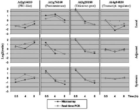 Confirmation Of Some Selected Gene Expression Profiles By Qrt Pcr