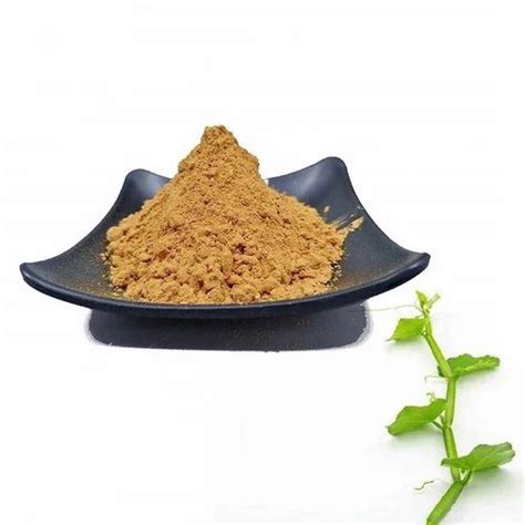 Hadjod Cissus Quadrangularis Extract Powder At Best Price In Rau