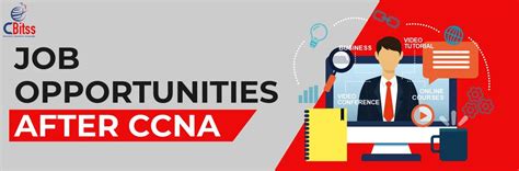 Job Opportunities After Ccna Cbitss Technologies