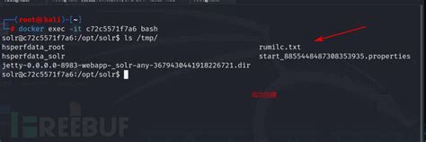 框架安全 cve 复现andapache shiroandapache solr漏洞复现 freebuf网络安全行业门户