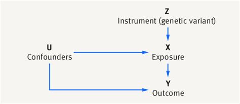 Directed Acyclic Graph Representing The Basic Instrumental Variable