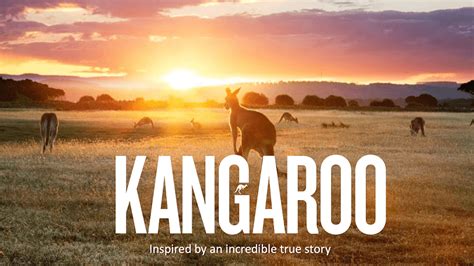 კენგურუ Kangaroo 2025