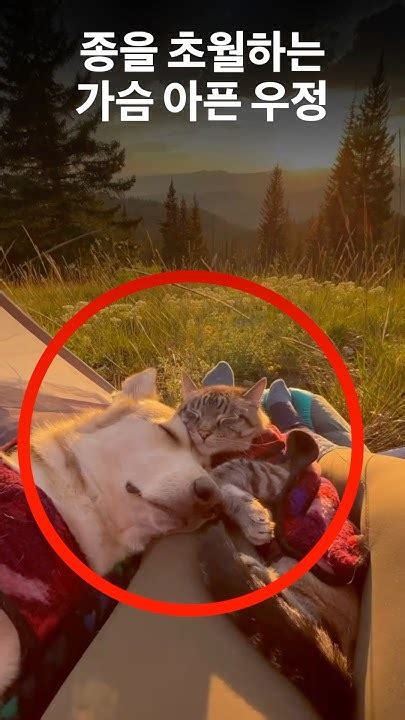 둘도 없는 친구사이었습니다 Youtube