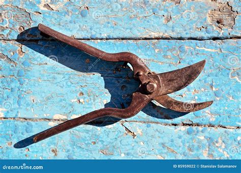 Old Garden Tools Stock Photo Image Of Pruning Cutting 85959022