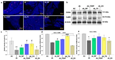 In Vivo Assessment Of The Effects Of Mono Carrier Encapsulated