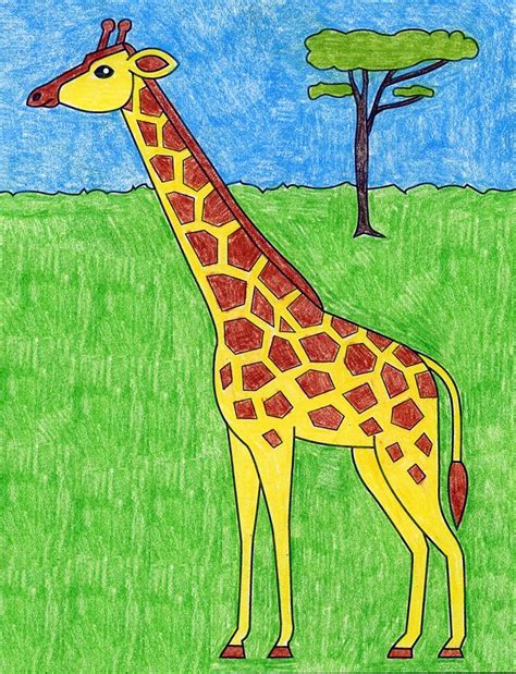 Giraffe Drawing Colour Pencil