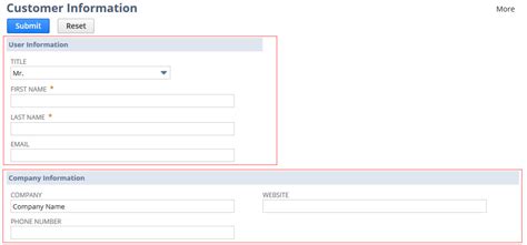 Netsuite Applications Suite Suitescript 2x Custom Forms