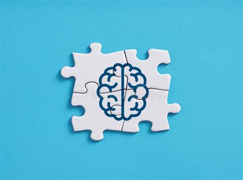Brain Left And Right Hemispheres Connectivity Human Cognition