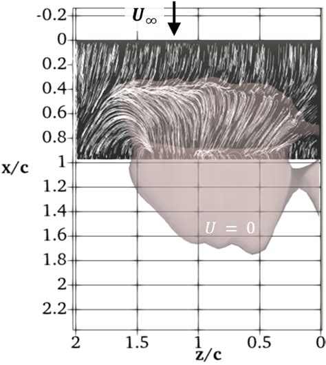Near Surface Streamlines Superimposed With Iso Surface Of 0