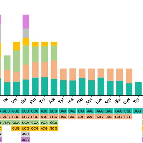 relative synonymous codon usage rscu in protein coding gene pcg