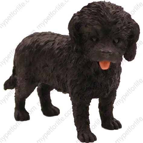 Black Cockapoo Cremation Figurine Urn Wwooden Storage Box
