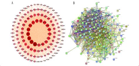 Ginseng And Icbps Common Target Protein Interaction Analysis A Core