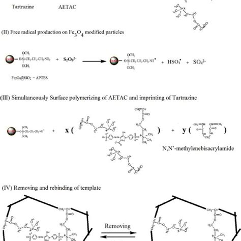 Schematic Of Surface Modification And Polymerization Download
