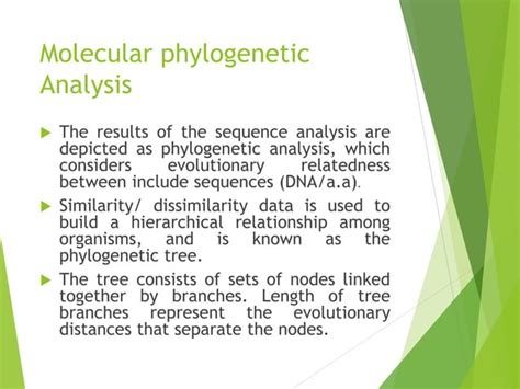 Phylogenetic Analysiscss2pptx