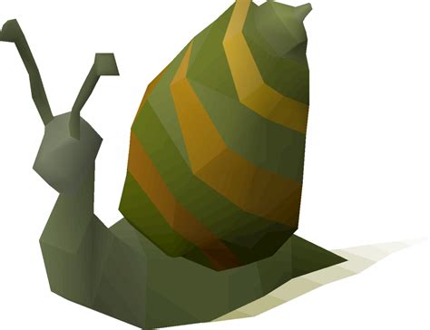 Giant Snail Osrs Wiki Giant Snail Osrs Wiki