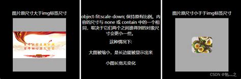让图片适应标签的css Object Fit属性img Object Fit Csdn博客