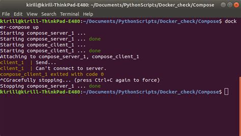 Python Cant Run Client Server Application With Docker Stack Overflow