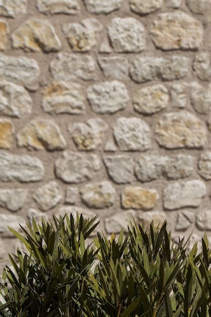 Premium Photo Wall Background With A Tree Part