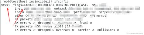 在linux系统中web服务的访问测试 linuxweb应用访问 csdn博客