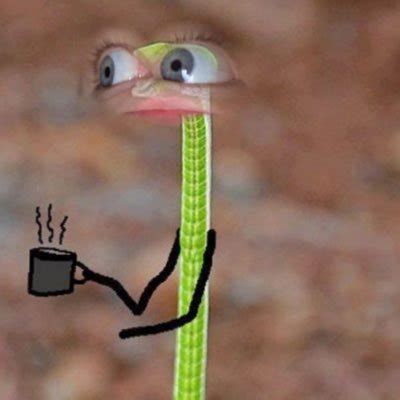 Fabiable TEAM NOWER On Twitter Starletnova Https T Co IaPa5OGwZc Twitter