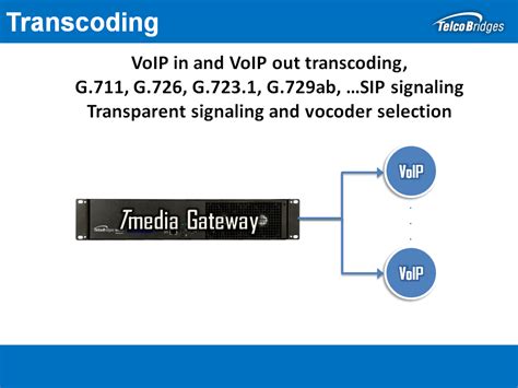 Telcobridges Solutions Voip Transcoding