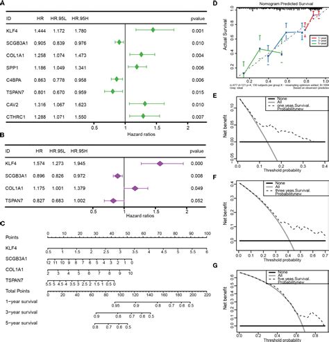 Frontiers Identification And Validation Of A Novel Cuproptosis Related Stemness Signature To