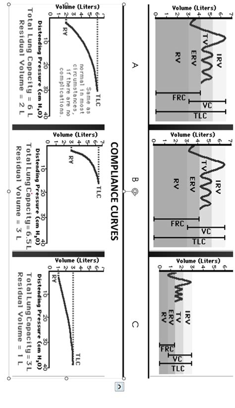 Solved Below Are Spirograms And Compliance Curves Of 3 Lung