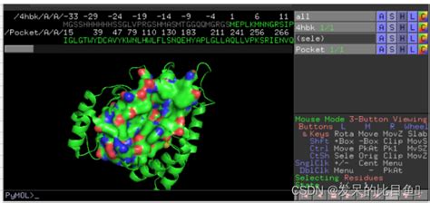 Pymol入门教程 基础 Csdn博客