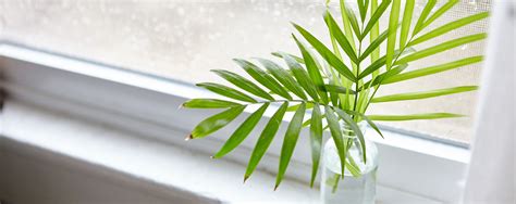 DIY Tips On How To Build A Window Sill