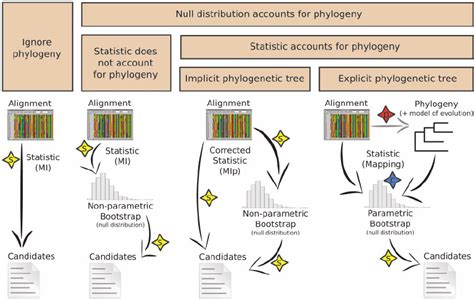 Synopsis Of Different Coevolution Detection Approaches S Step That
