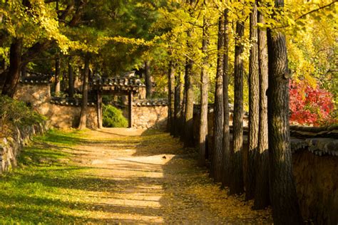 한국민속촌에 찾아온 도깨비 ‘풍요로운 낭만조선 개최 뉴스와이어