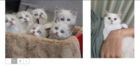 使用 Pagination Js快速分頁非table內容 Ite2 Blog