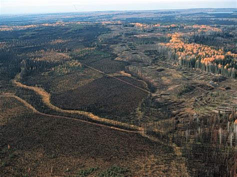 Predicting Post Fire Canopy Mortality In The Boreal Forest From Dnbr Derived From Time Series Of