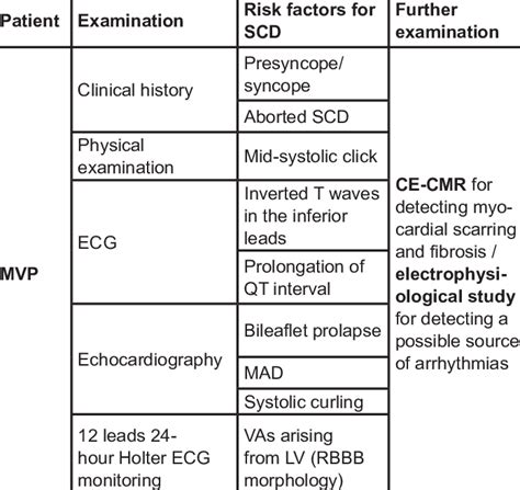 Follow Up Algorithm For Examination And Evalua Tion Of Athletes With Mvp Download Scientific