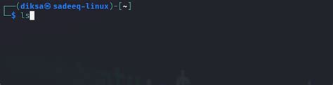 The Ls Command Sadeeq Technologies