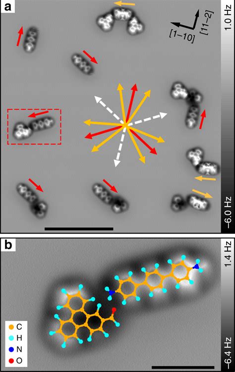 Self Assembly Of Datp And Tpca Molecules A Afm Overview Image Fuzzy Download Scientific