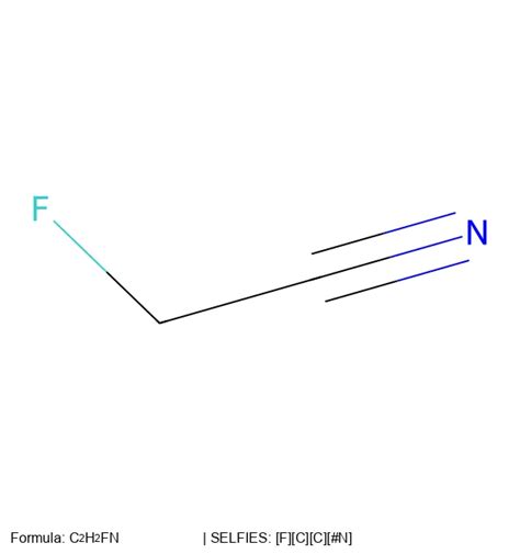 Selfies Self Referencing Embedded Strings