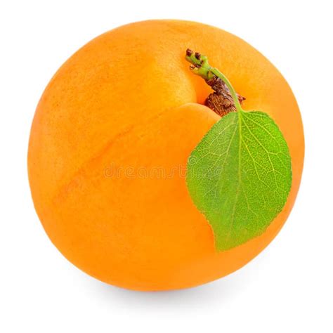 Individual Fruits Pictures